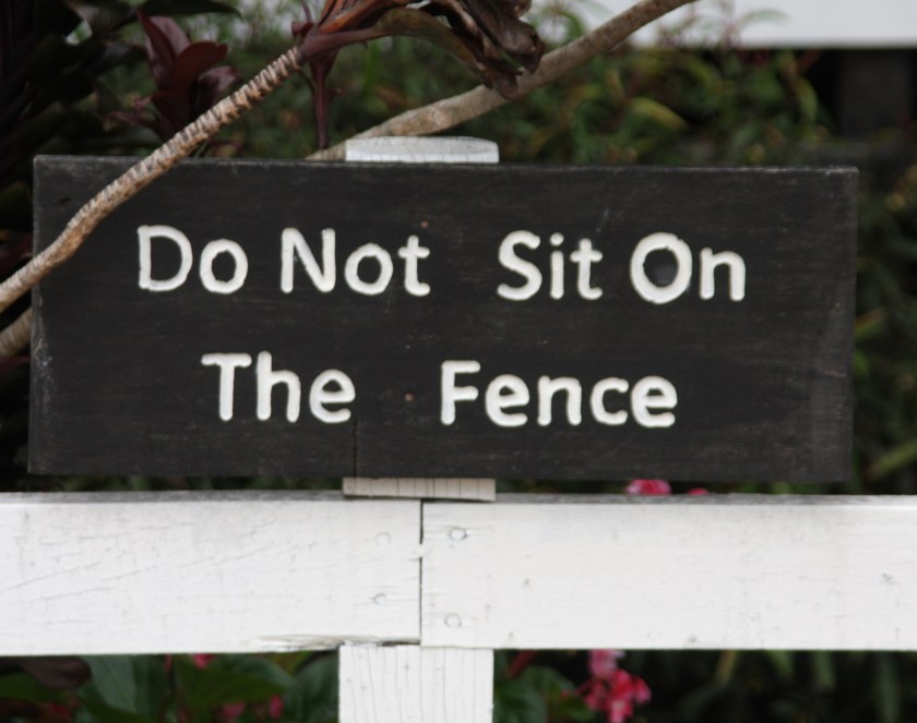 Character – The Procrastination Pen